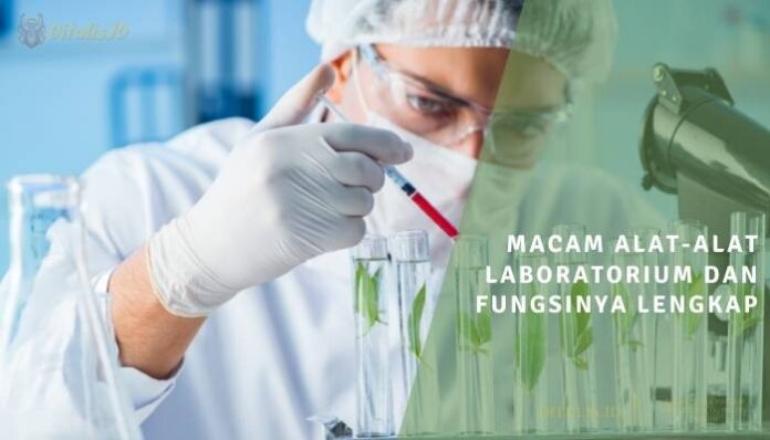 22 Macam Alat-Alat Laboratorium Dan Fungsinya Lengkap Di 2025 | Ditulis.ID