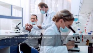 Macam-Macam Mikroskop Dan Fungsinya Di 2025 | Ditulis.ID