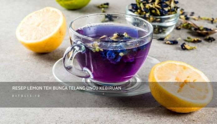 Manfaat Dan Bahaya Bunga Telang Untuk Kesehatan (Butterfly Pea Flower ...