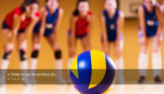6 Teknik Dasar Dalam Bola Voli Yang Perlu Kamu Ketahui Di 2025 | Ditulis.ID